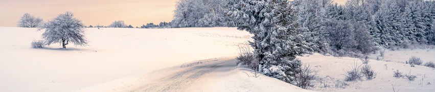 Do I Need White Salt or Red Salt for Road Gritting?