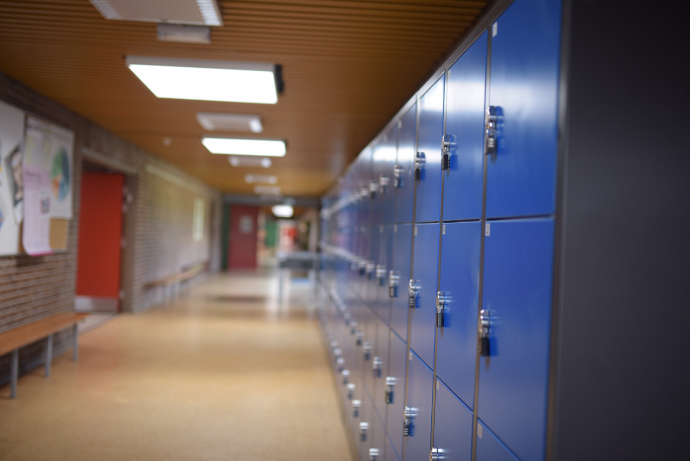 Benefits Of Access Control For Schools | School Gates Installation ...