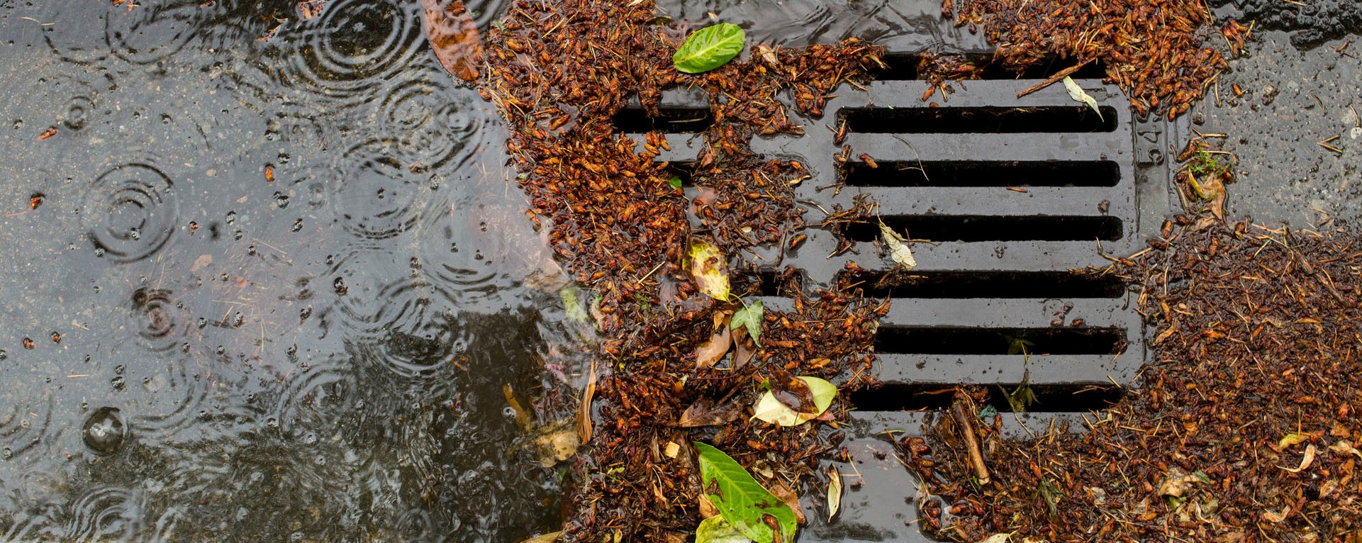 Drainage and Blocked Drains in Darlington : Drain Devil Limited