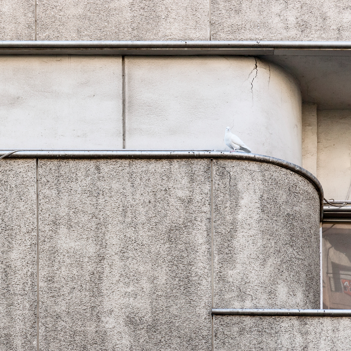 Precast Concrete Lintels - What You Should Know | RICS Surveyors Maidstone
