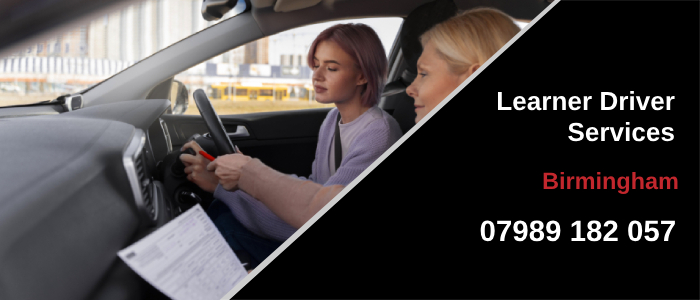 What Are Dual Controls and How Do They Work?