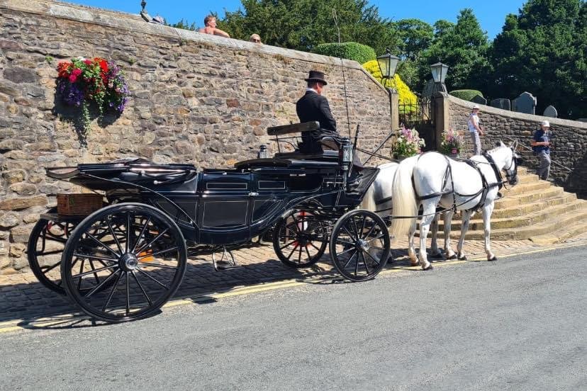 Horse Drawn Carriage Hire - Weddings and Funerals in Chorley