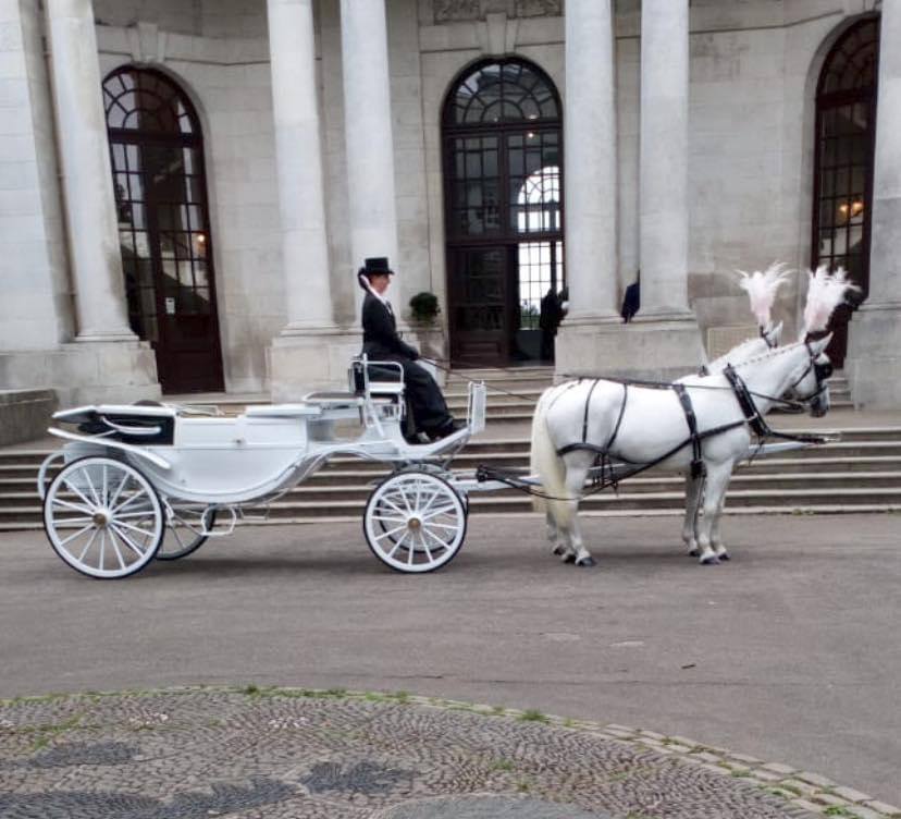 Horse Drawn Carriage Hire - Weddings and Funerals in Chorley