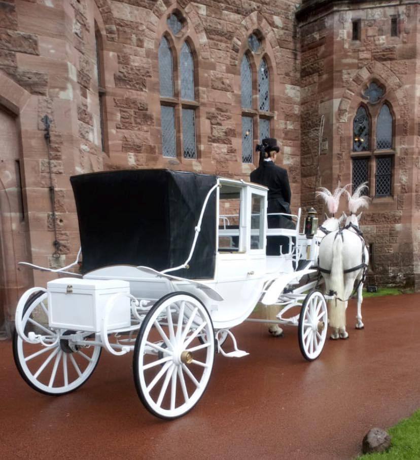 Horse Drawn Carriage Hire - Weddings and Funerals in Chorley