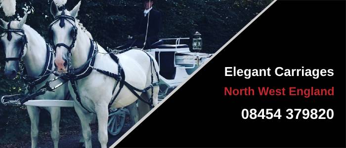 Rainbow Hearse - Unique Horse Drawn Carriage Hire