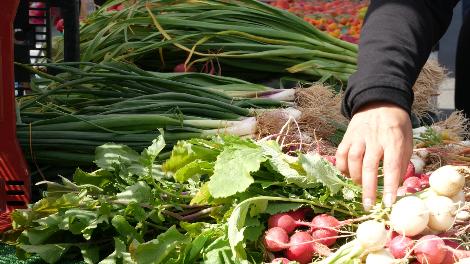 What Vegetables Are In Season In The UK? Fresh Vegetables ...