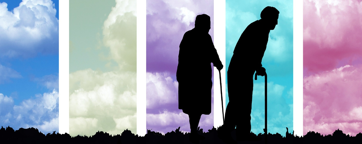 Home Adaptations For The Elderly And Disabled