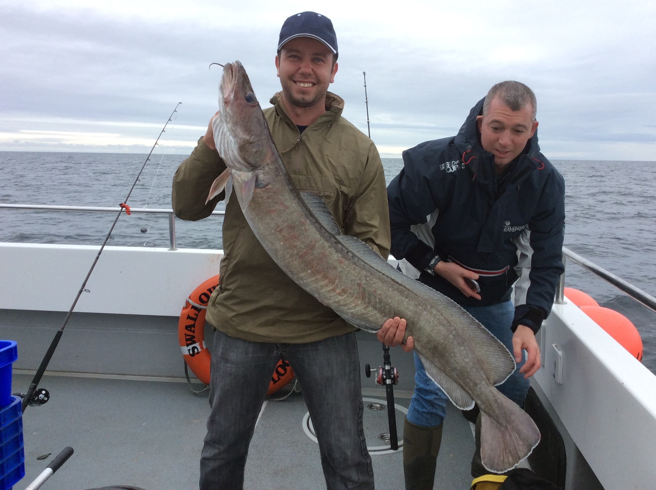 Species of Local Sea Fish in Cornwall | Chartered Trips