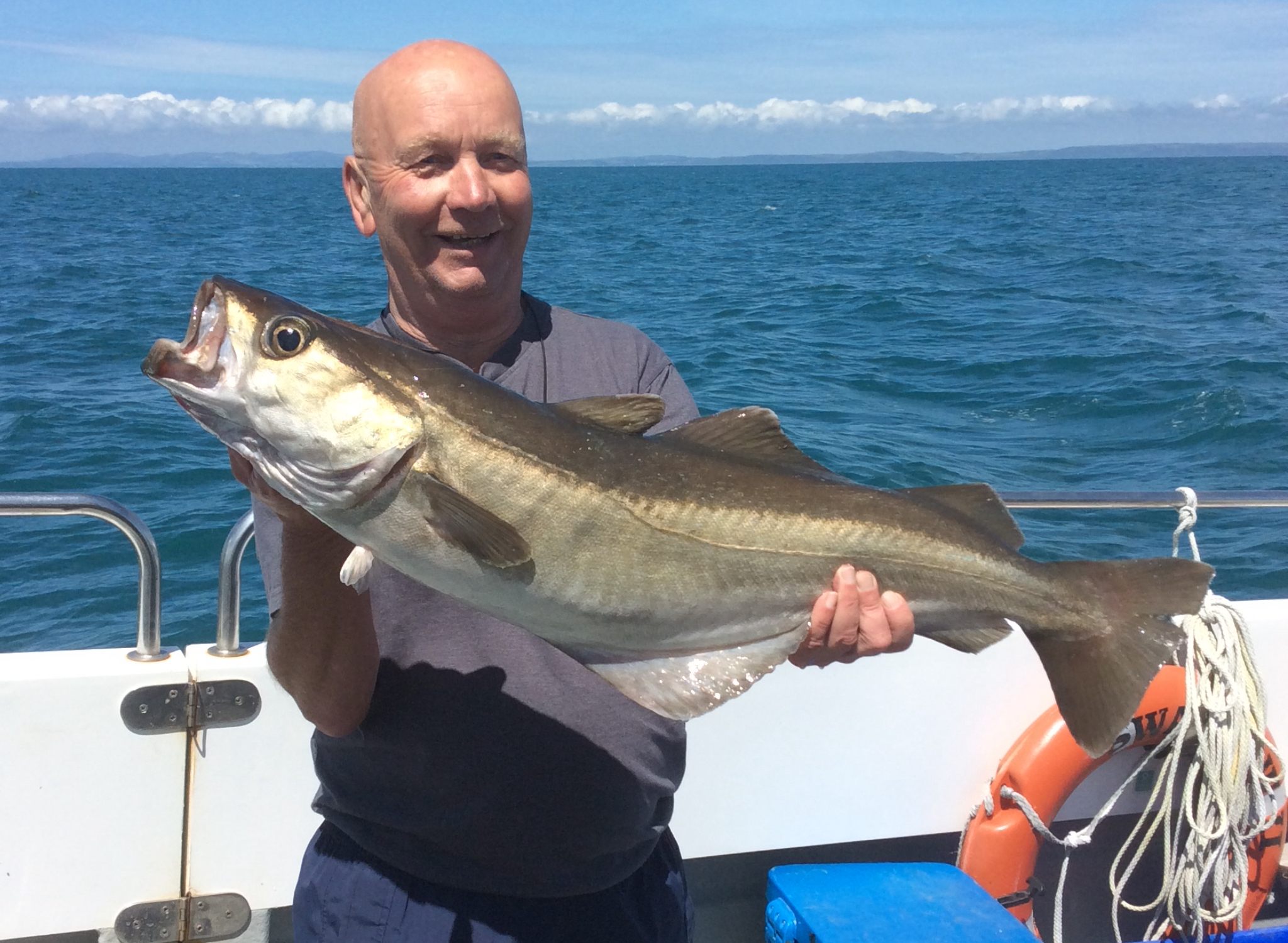 Species of Local Sea Fish in Cornwall | Chartered Trips