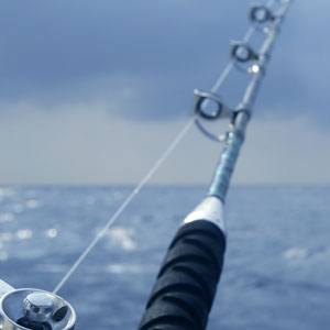 Guide To Sea Fishing In Cornwall - Species and Fishing Methods