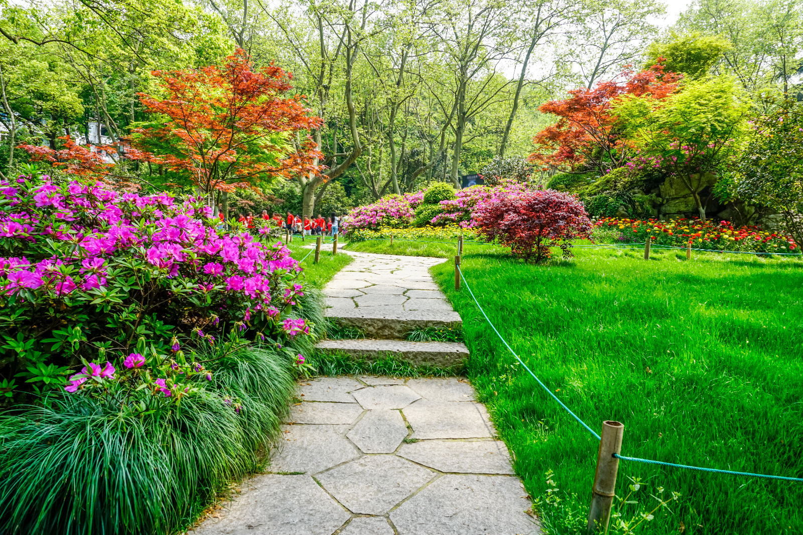 Common Garden Design Mistakes To Look Out For | Landscape Gardeners ...