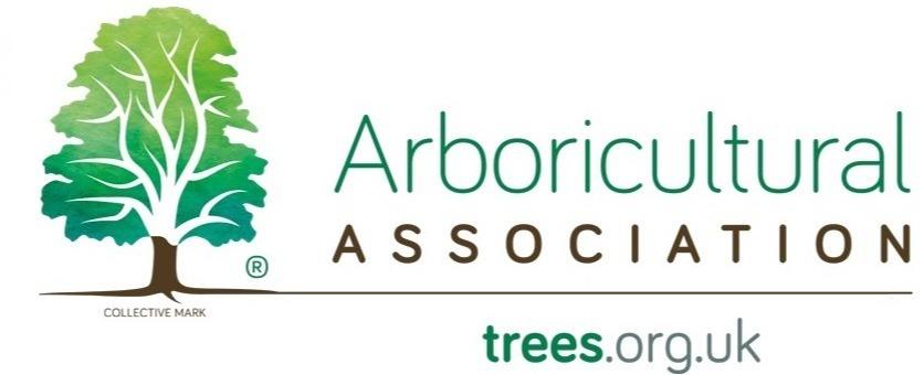 What Qualification Should A Tree Surgeon Have UK?