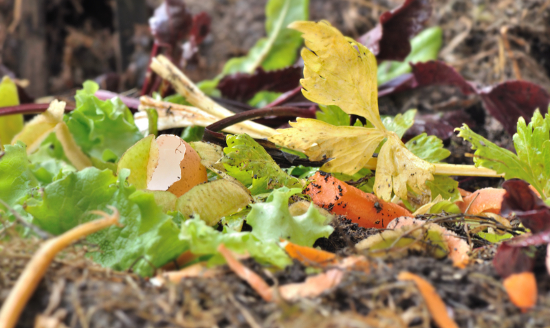 Garden Waste Removal Truro and Cornwall