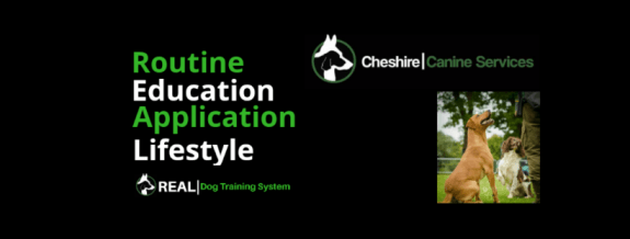 Dog Training Programmes Online - About Our Membership